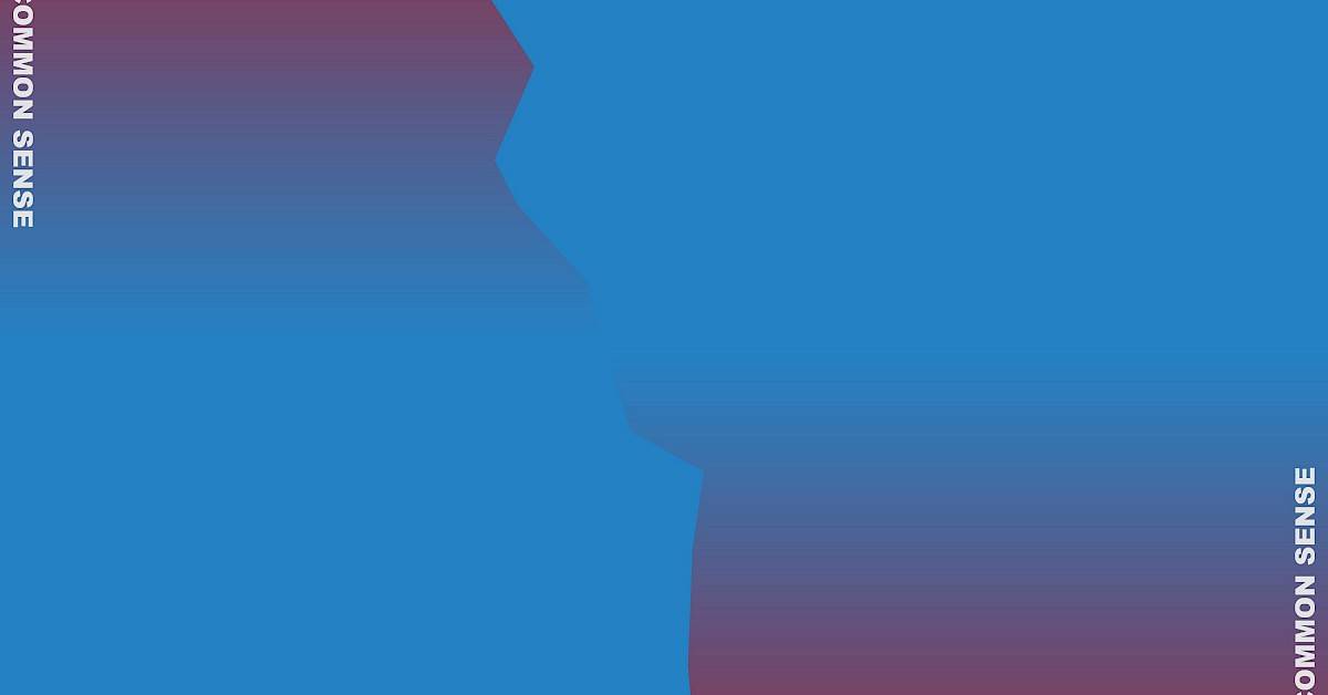 Cracks in Common Sense - Mayway Records